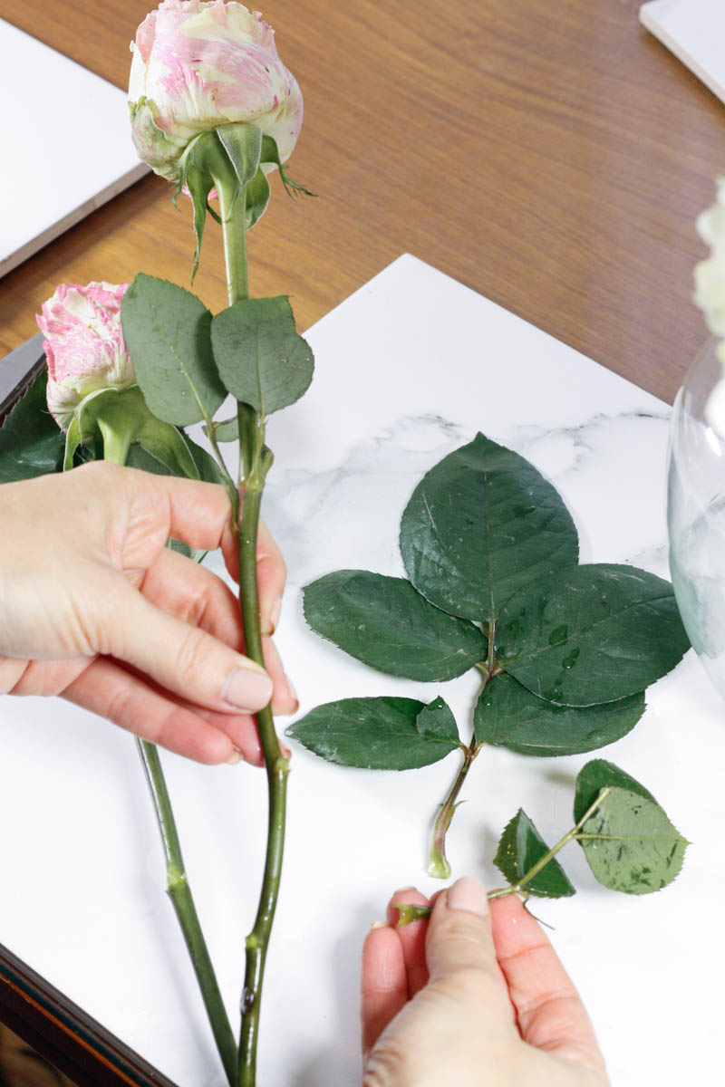 How to Arrange Flowers Like a Pro - Part 1